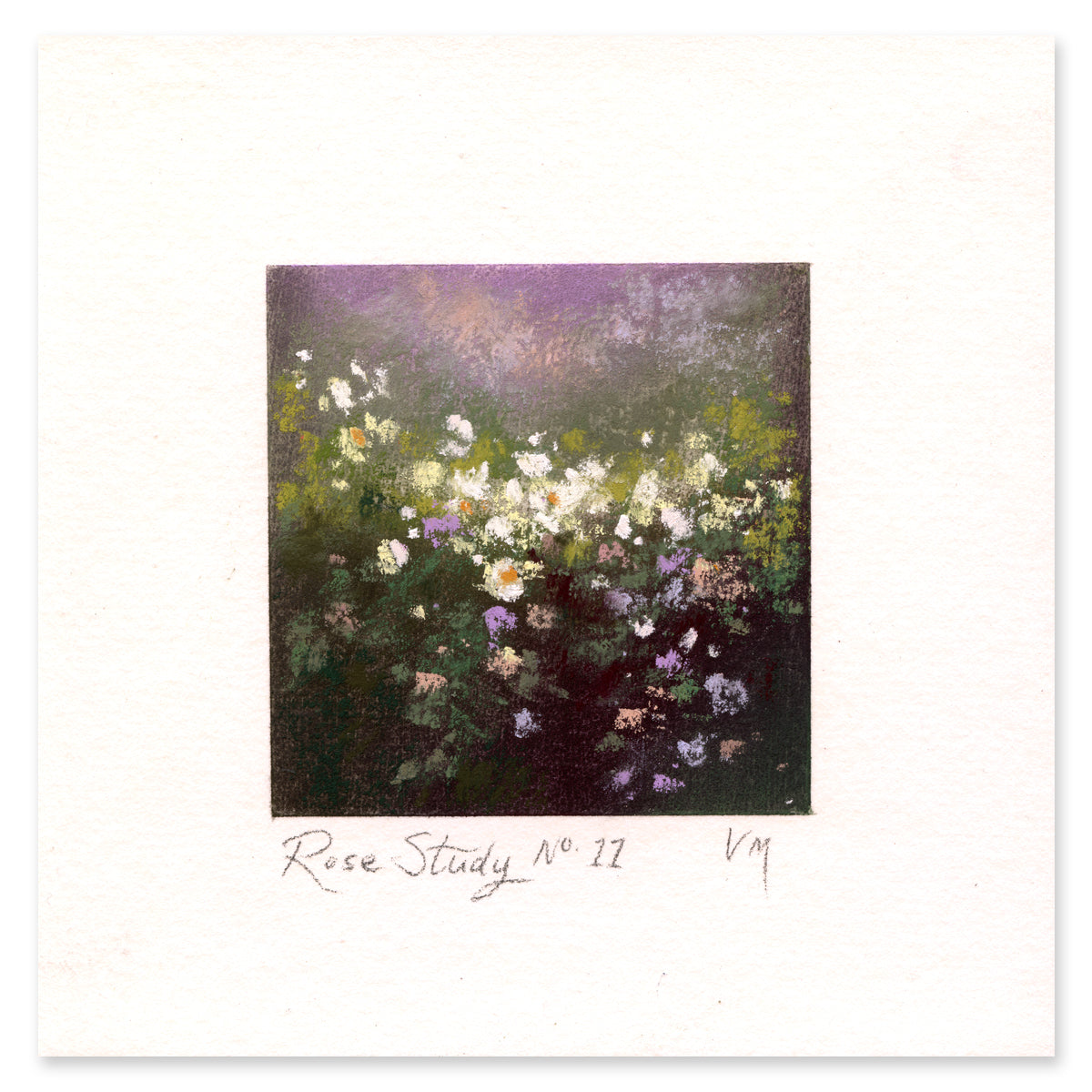 Rose Study No. 11– Valerie McKeehan