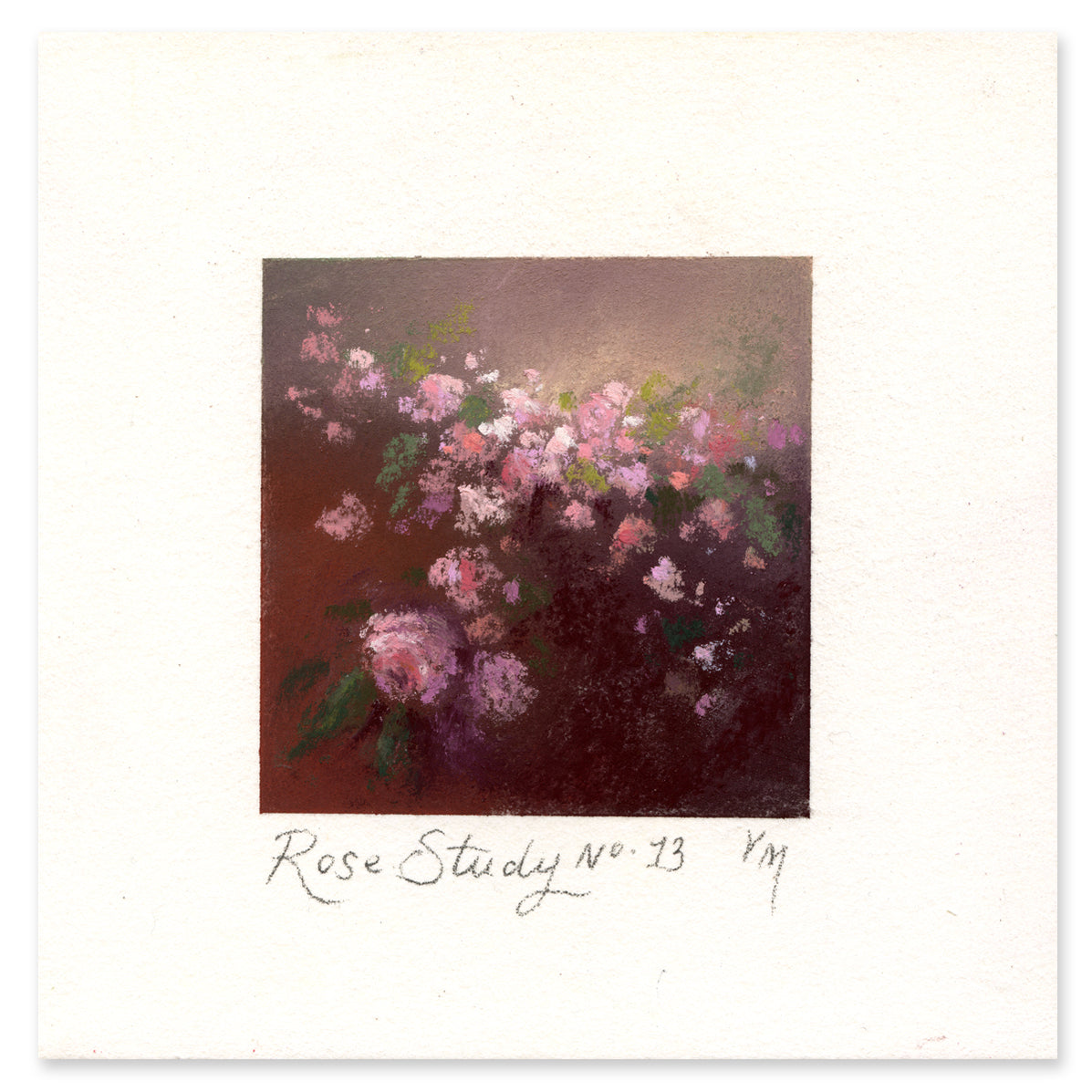 Rose Study No. 13– Valerie McKeehan
