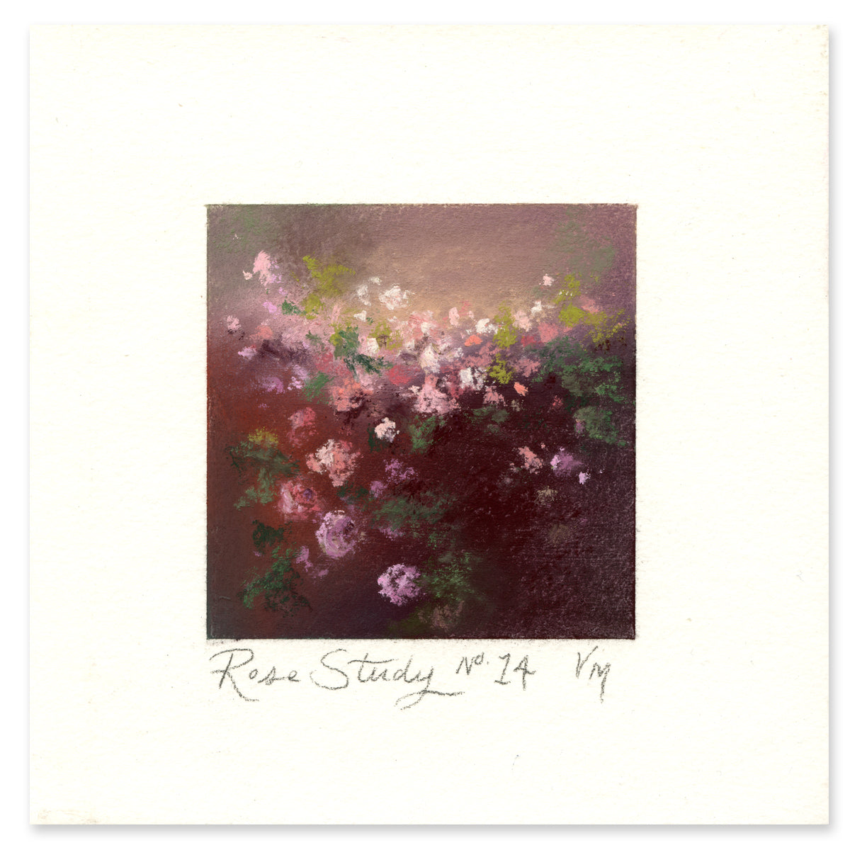 Rose Study No. 14– Valerie McKeehan