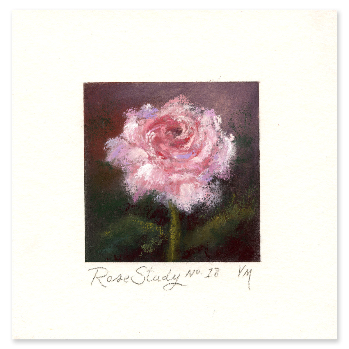 Rose Study No. 18– Valerie McKeehan