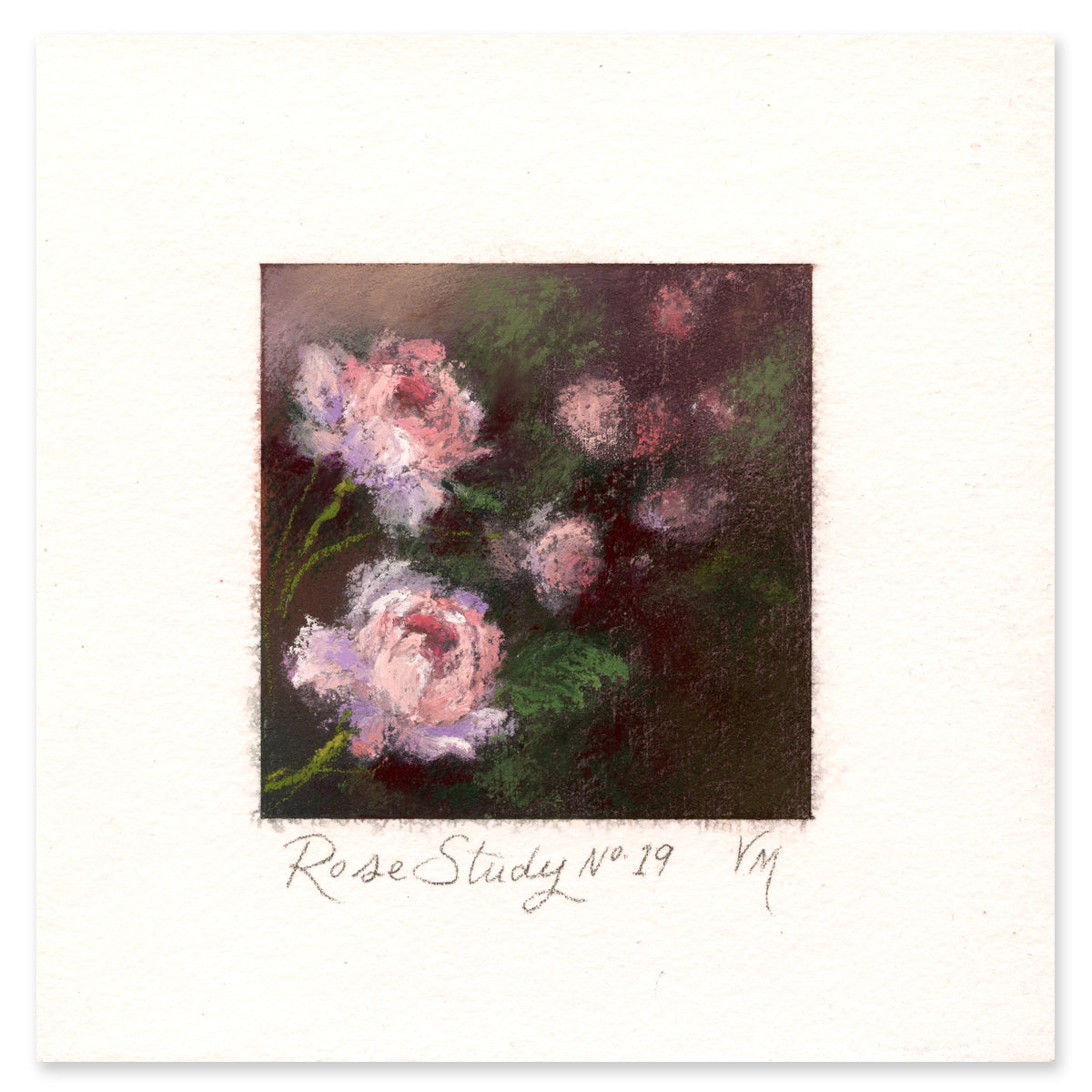 Rose Study No. 19– Valerie McKeehan